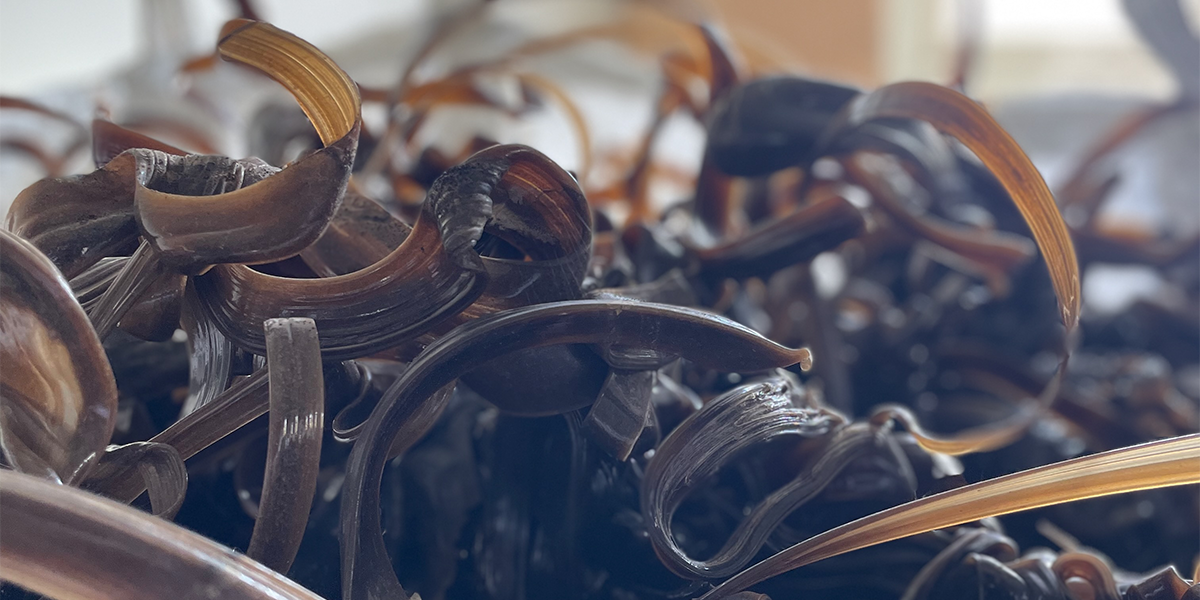 Plastics are good. As long as they are recycled. - Fairphone